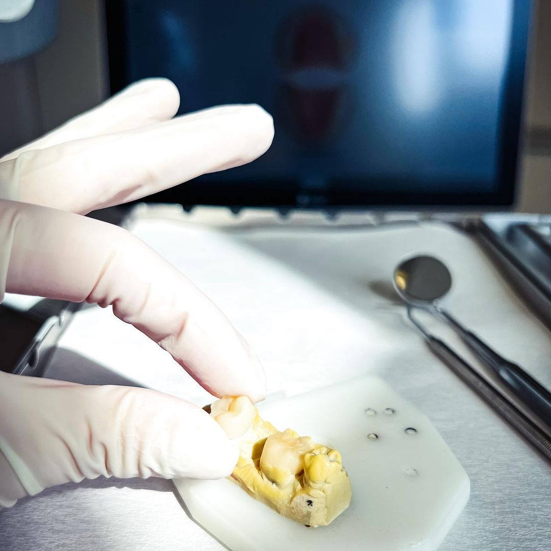 Social Wall | Dr. Behfar Basharat